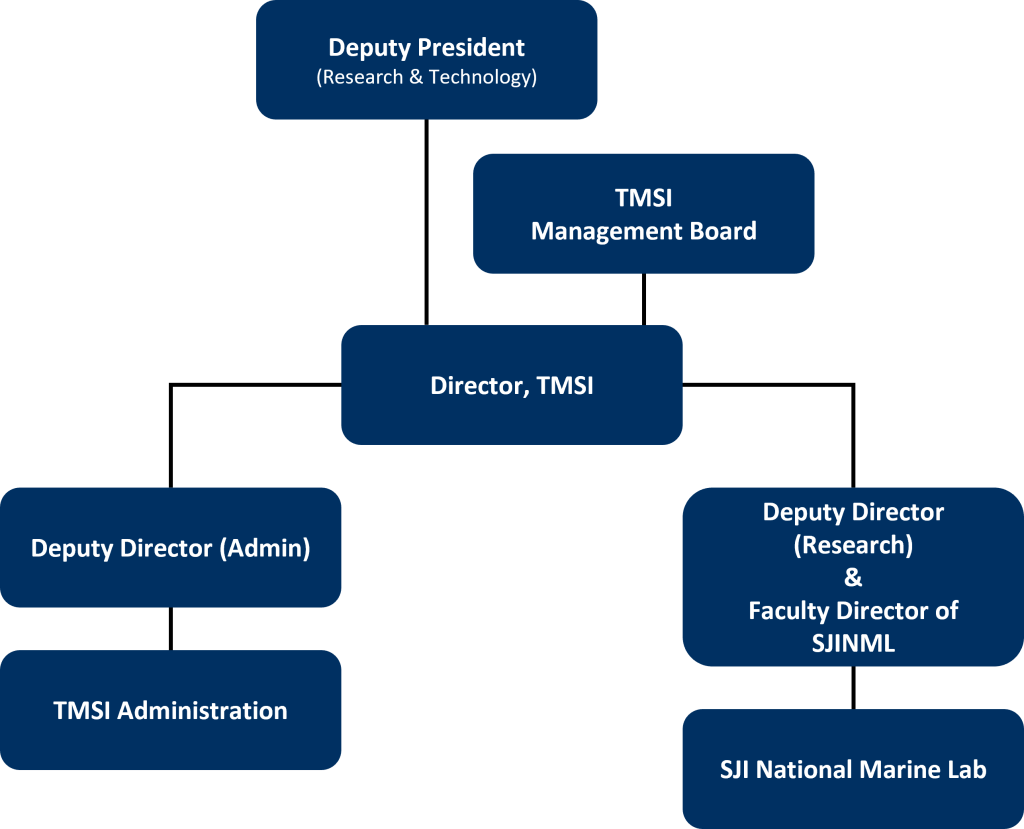 From the Director's Desk - TMSI