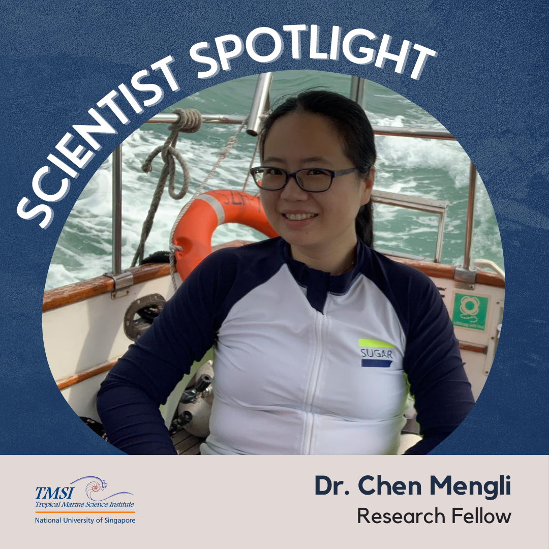 Scientist spotlight - TMSI
