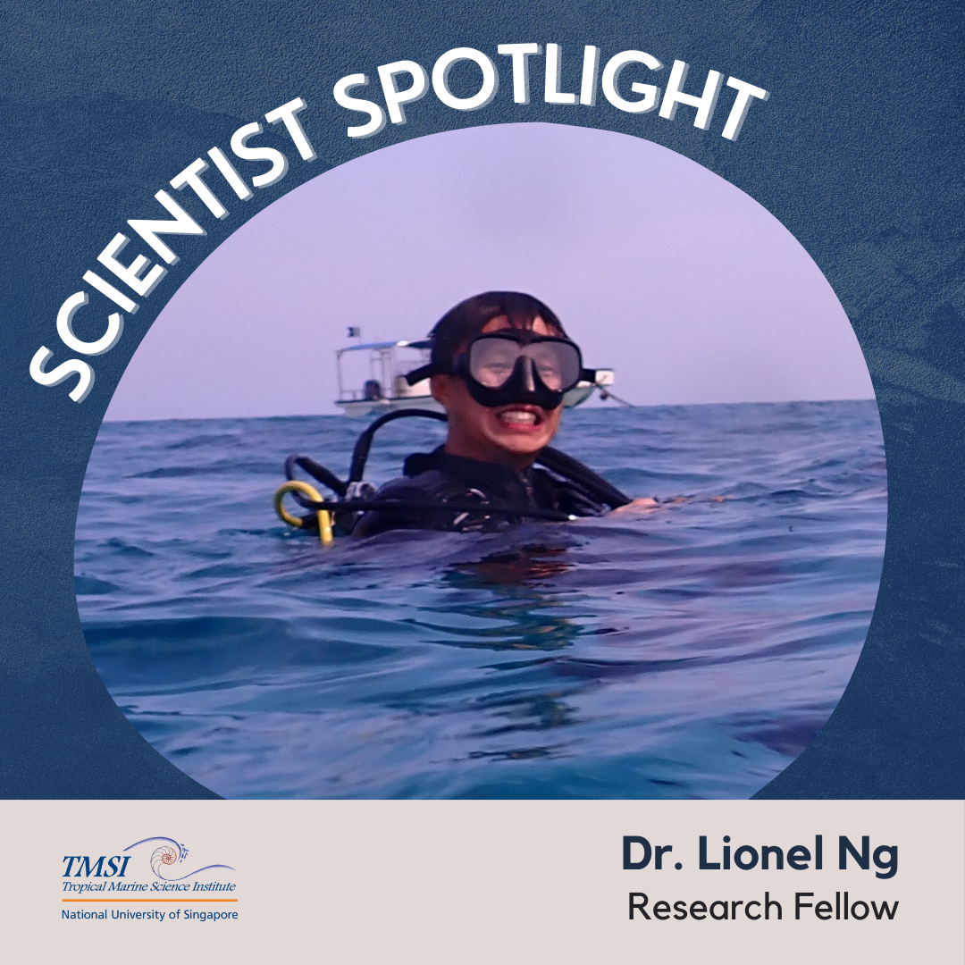 Scientist spotlight - TMSI