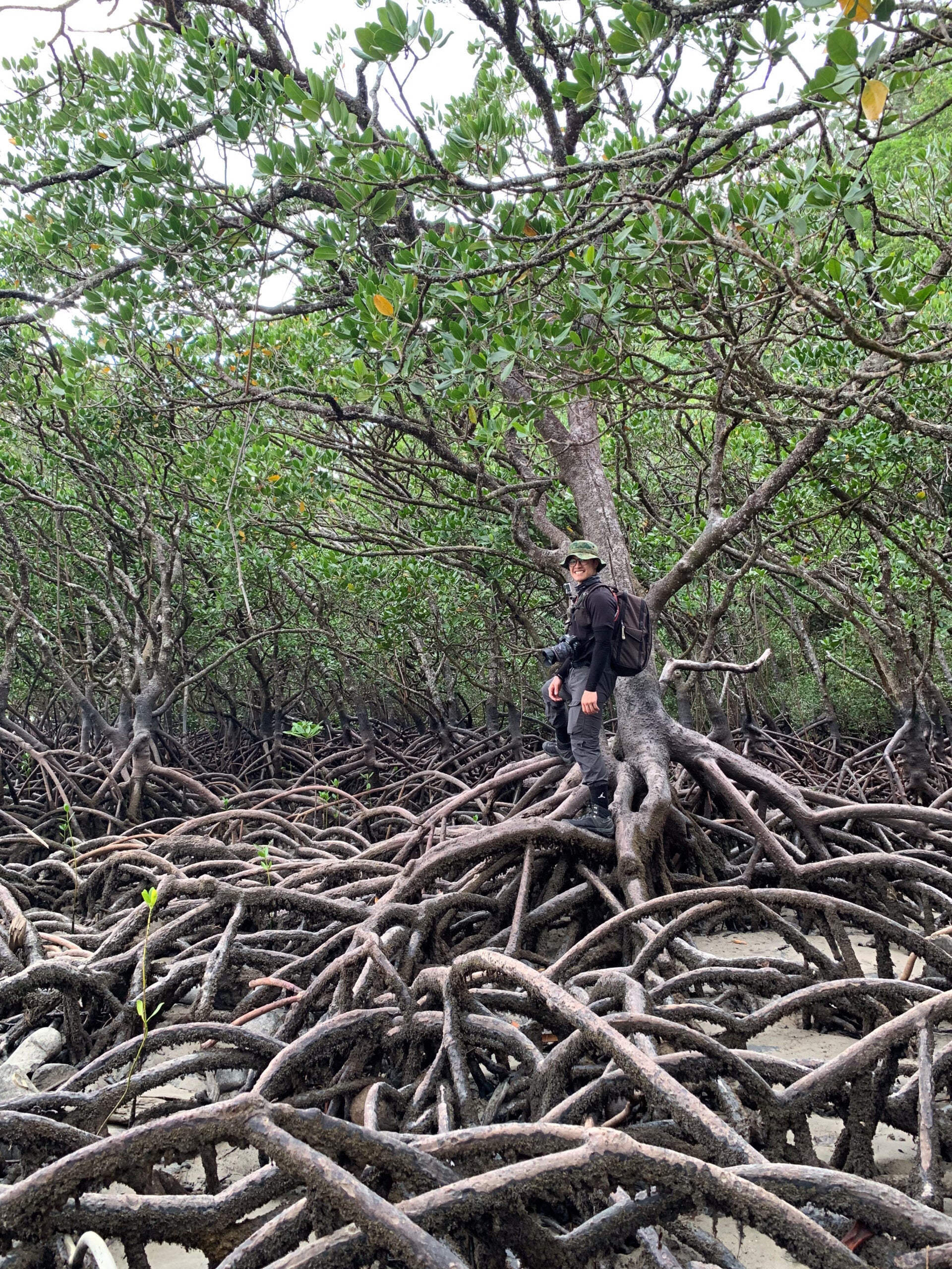 Scientist spotlight - TMSI