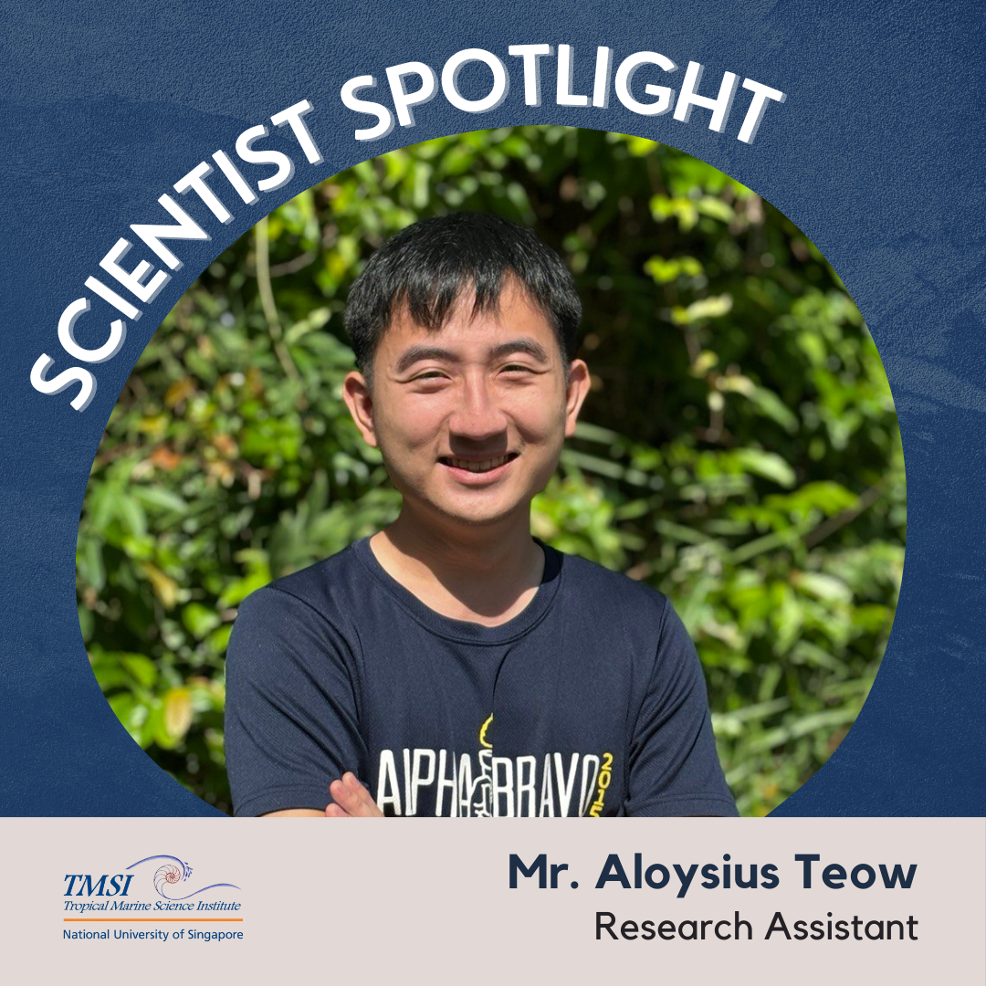 Scientist spotlight - TMSI