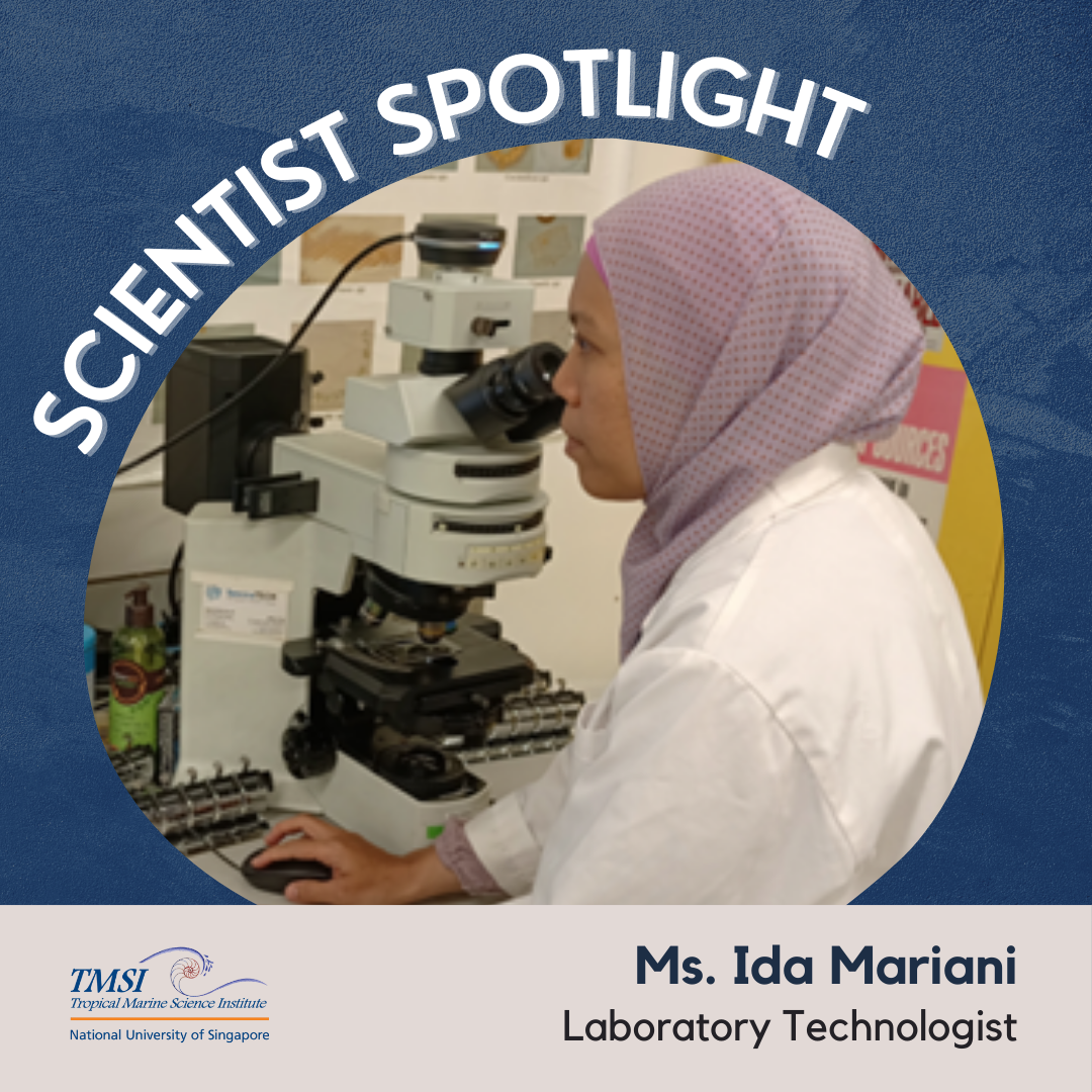 Scientist spotlight - TMSI