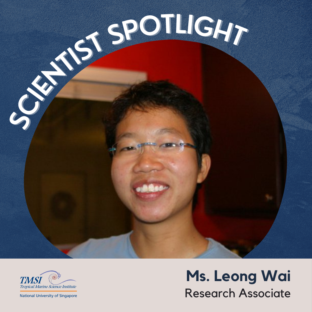 Scientist spotlight - TMSI