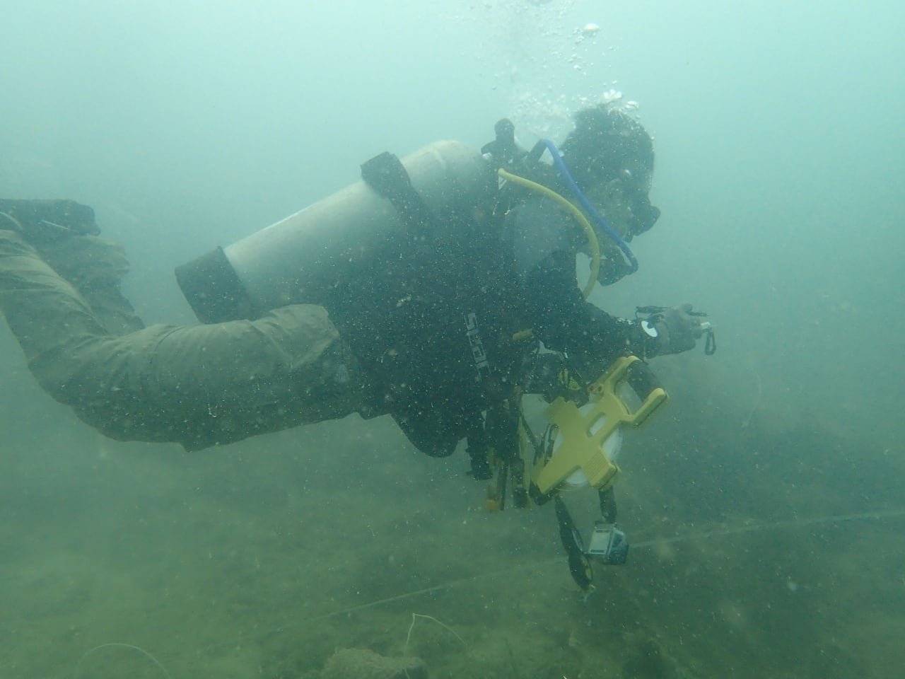 Scientist spotlight - TMSI