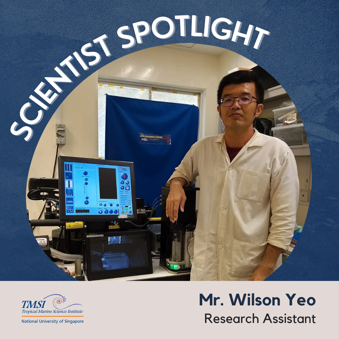 Scientist spotlight - TMSI
