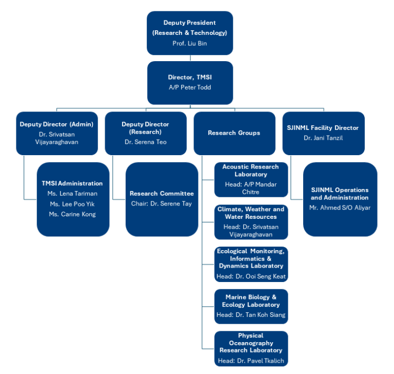 From the Director's Desk - TMSI